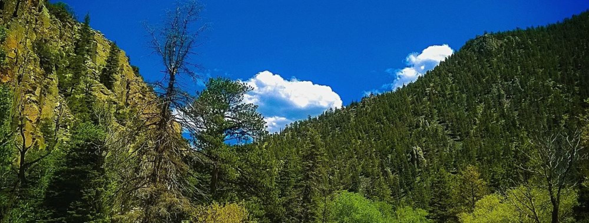 QUAERO CAPITAL lance un fonds ESG en actions US Value - investir.ch